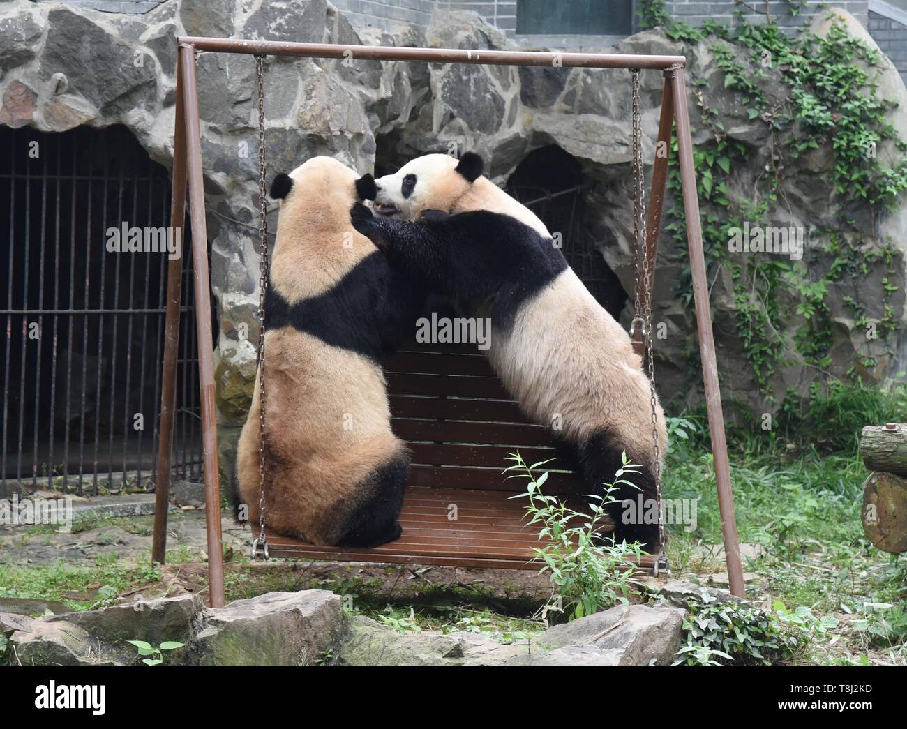Hangzhou zoo hi-res stock photography and images - Alamy