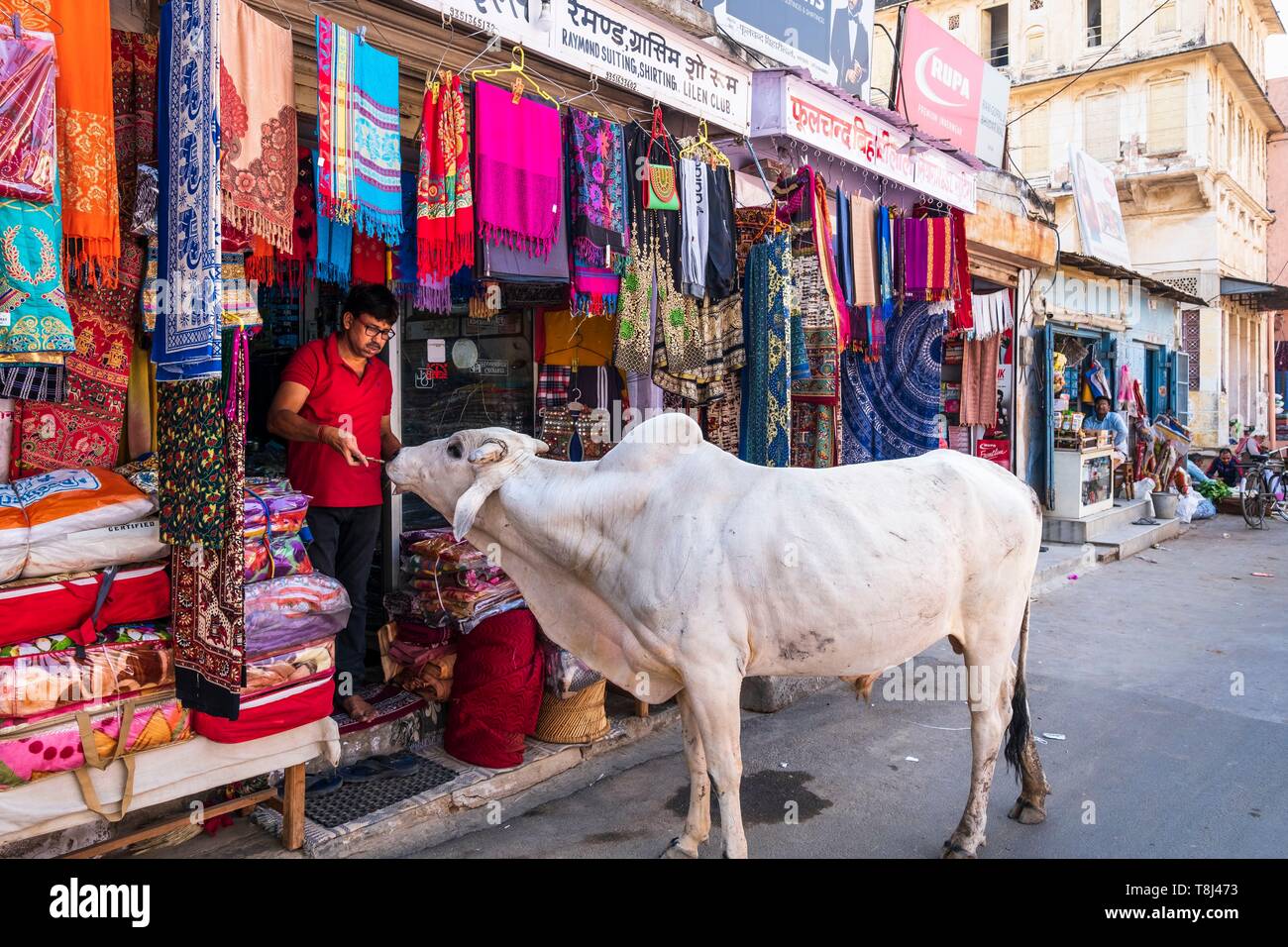 India, Rajasthan, Shekhawati region, Mandawa, market street Stock Photo ...