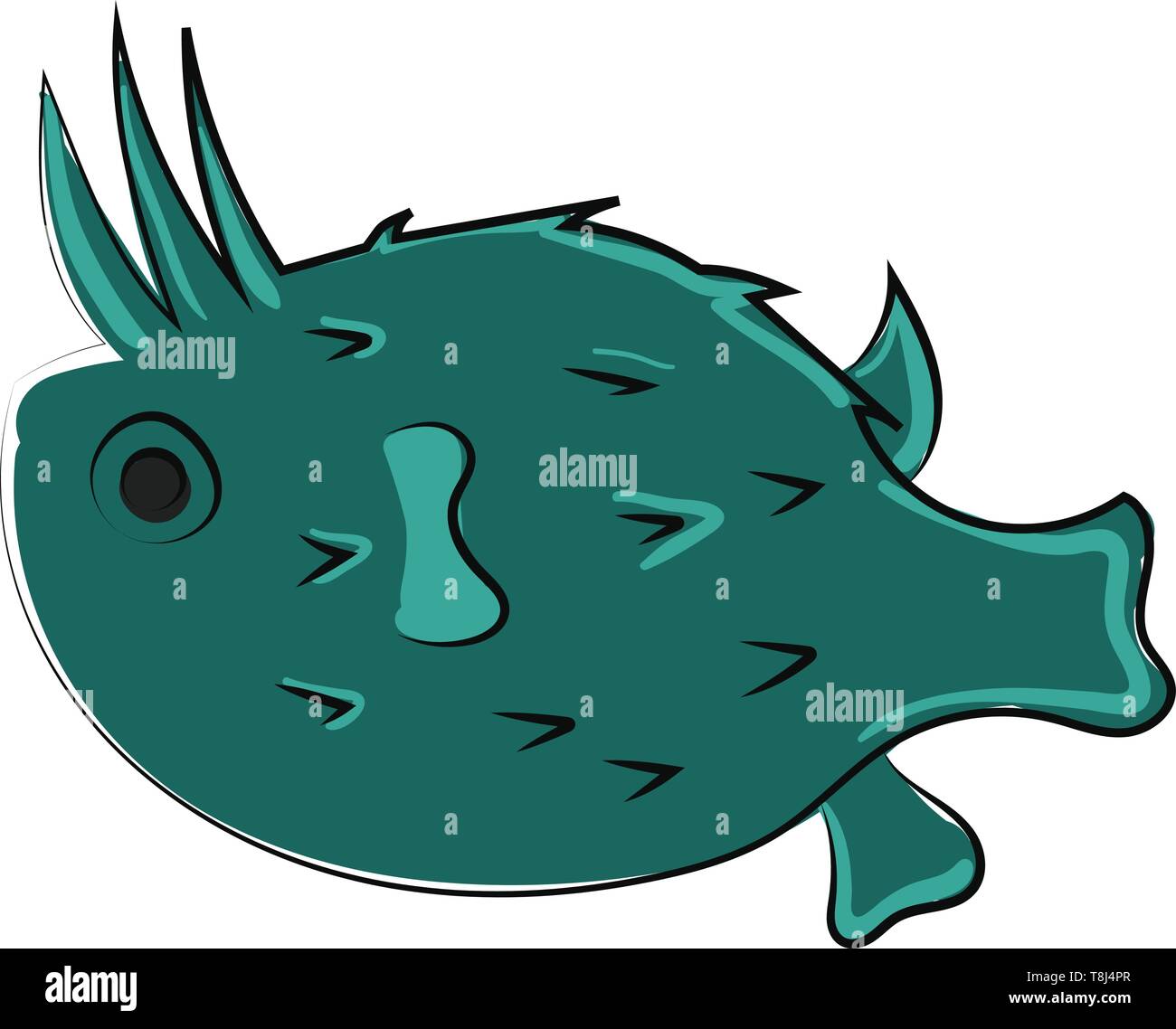 Fat whitefish Stock Vector Images - Alamy