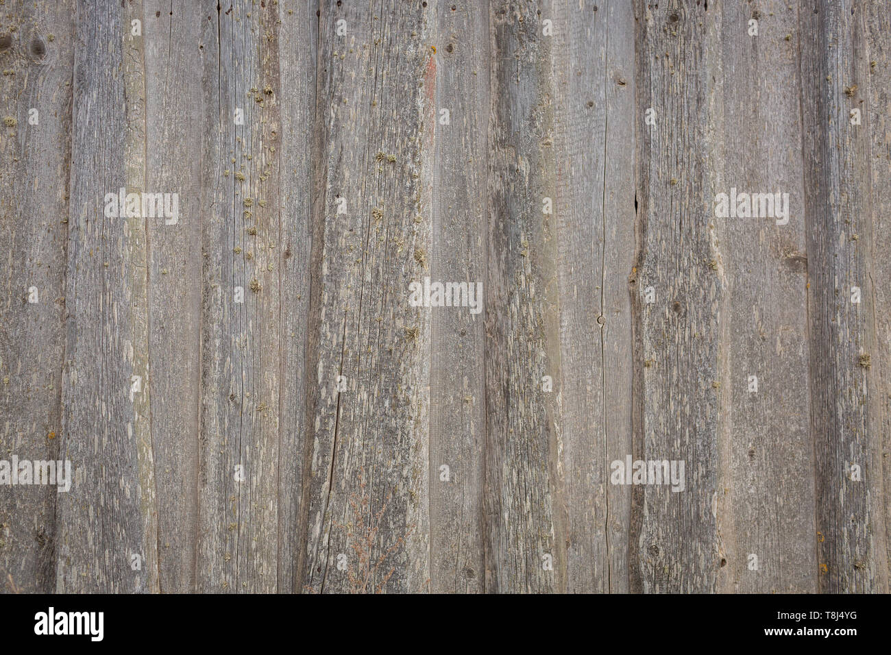 Old wooden texture, barn wall Stock Photo - Alamy