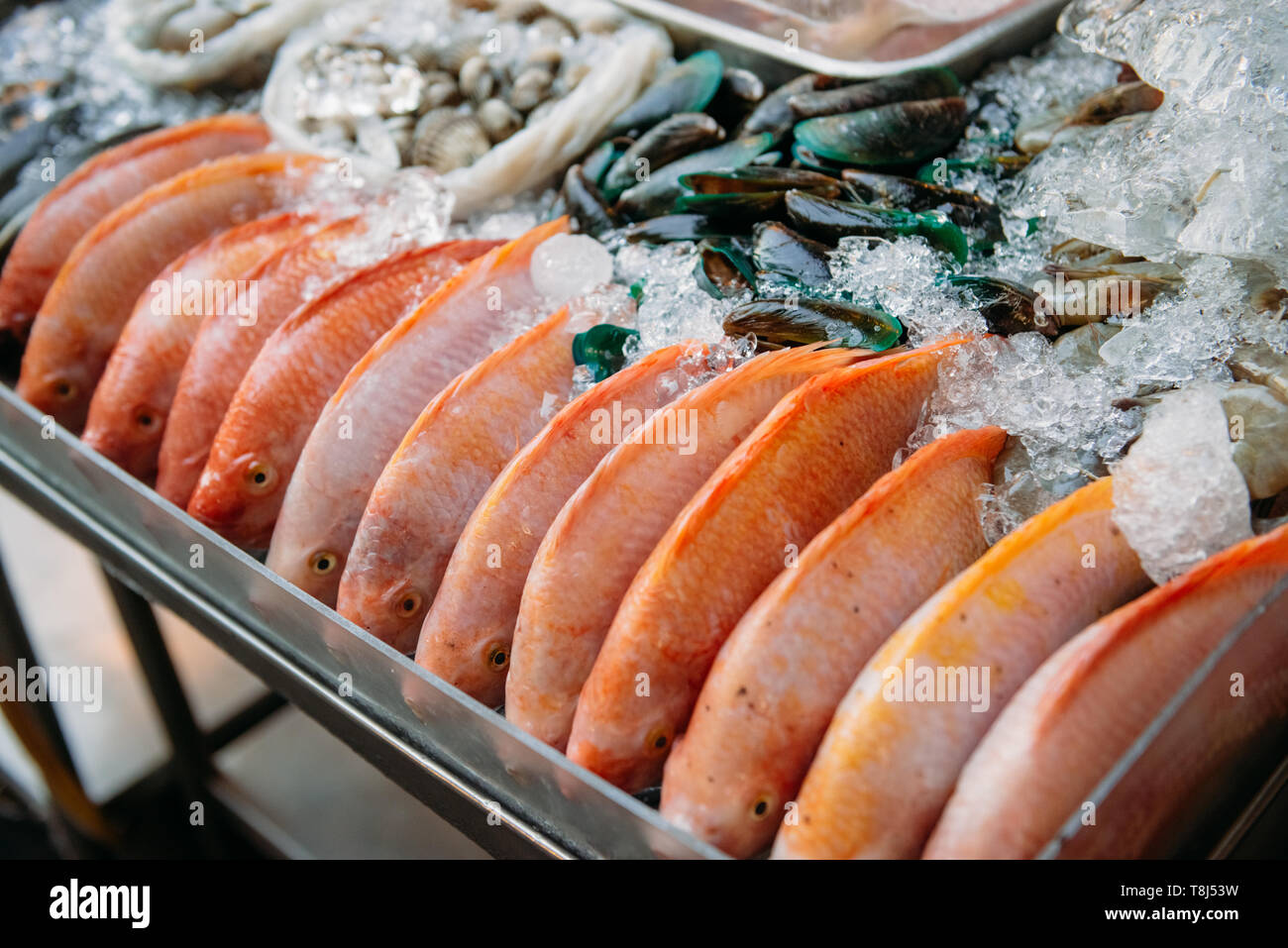 Shellfish seafood fish market hi-res stock photography and images - Alamy