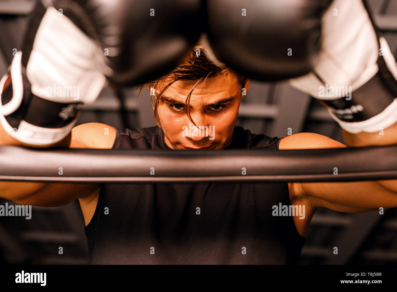 Tired boxer hi-res stock photography and images - Alamy