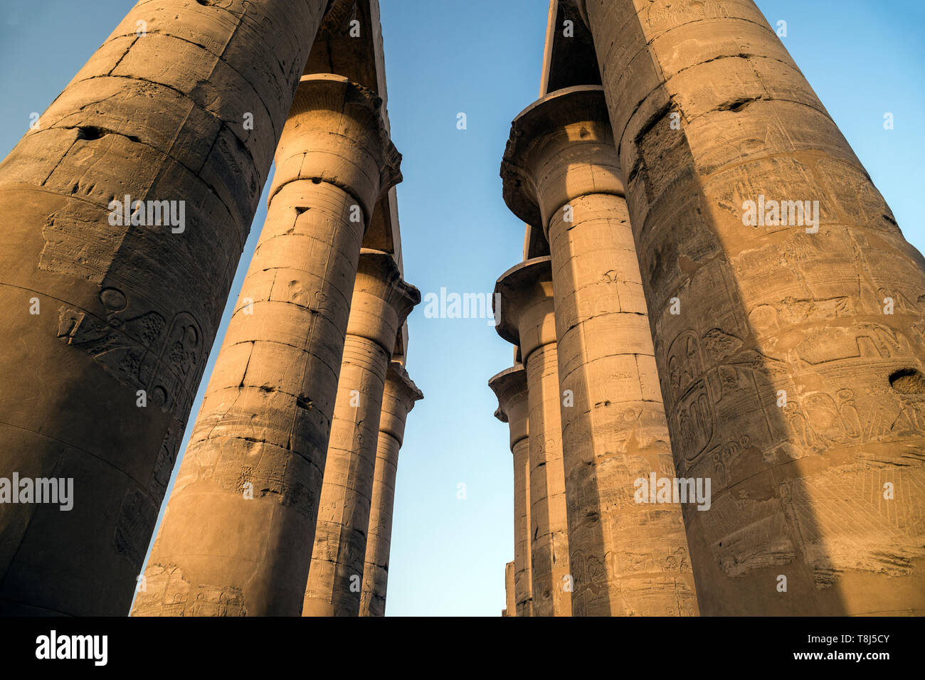 The Colonnade of Amenhotep III, Temple of Luxor, Luxor, Egypt Stock ...