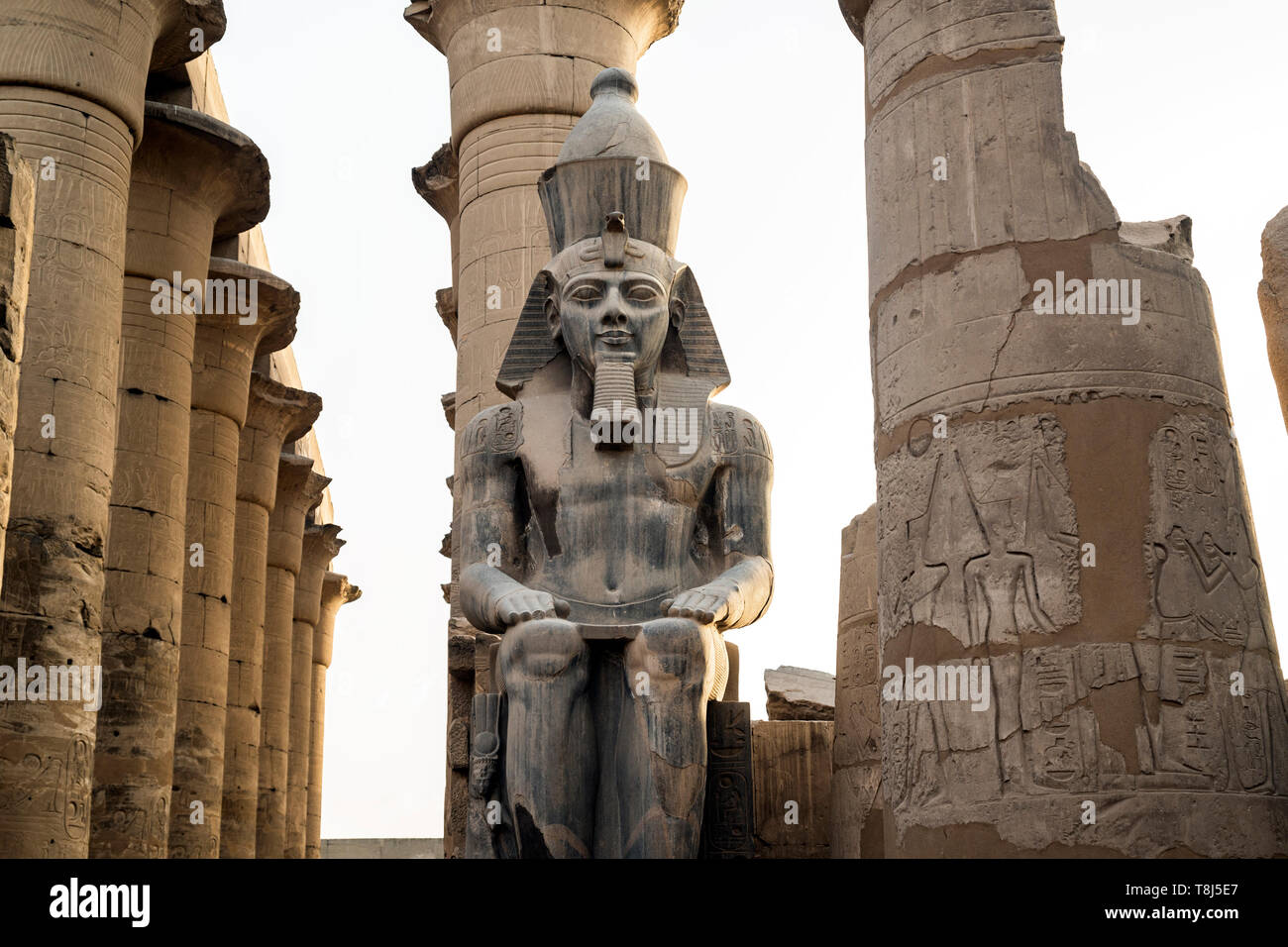 Rameses II statue, Temple of Luxor, Luxor, Egypt Stock Photo - Alamy