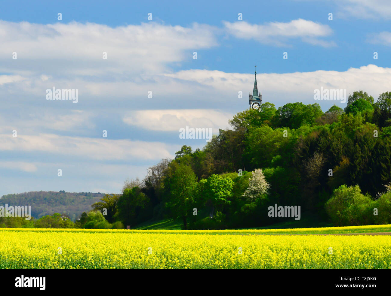 Reform tower hi-res stock photography and images - Alamy