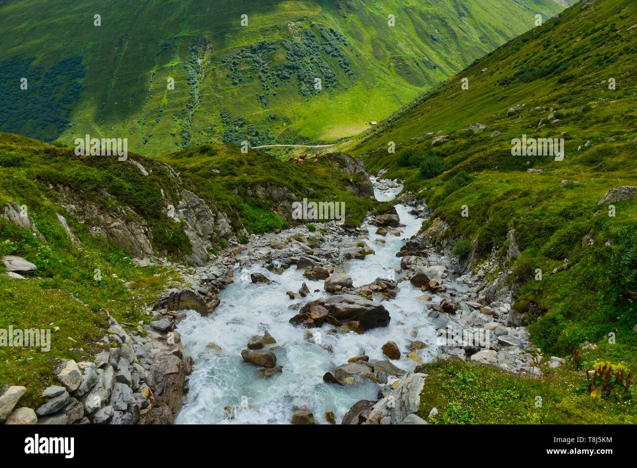 Alpine creek in the mountains, Furka Mountain Pass, Switzerland Stock ...