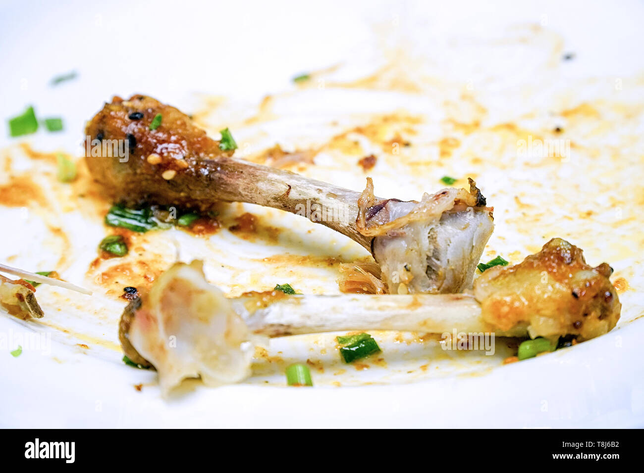 Chicken Bones scraps on a white plate Stock Photo - Alamy