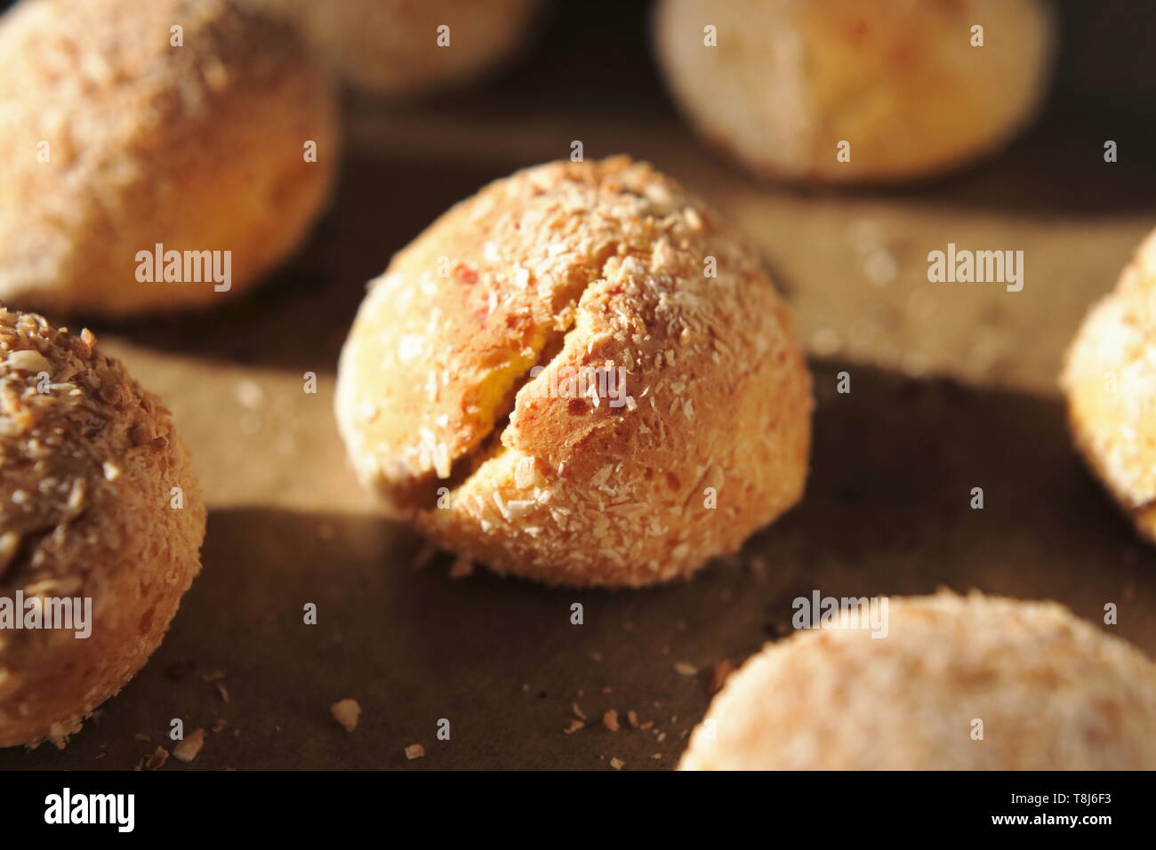 Close-up of a baked bun with side solar lighting. Fresh cottage cheese ...