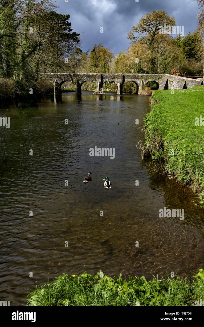 Antrim castle gardens hi-res stock photography and images - Alamy