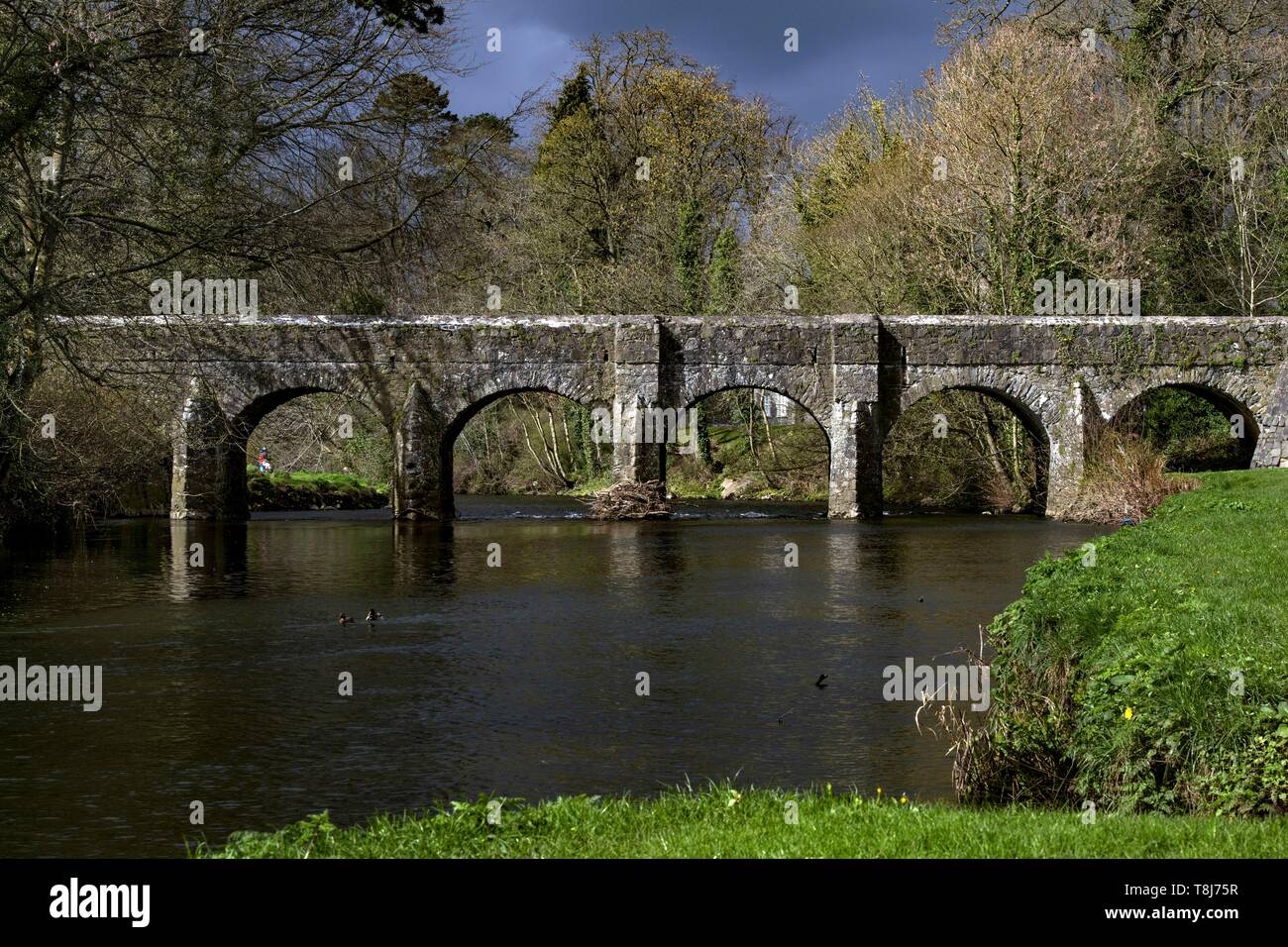 United Kingdom, Northern Ireland, Ulster, county Antrim, Antrim castle ...