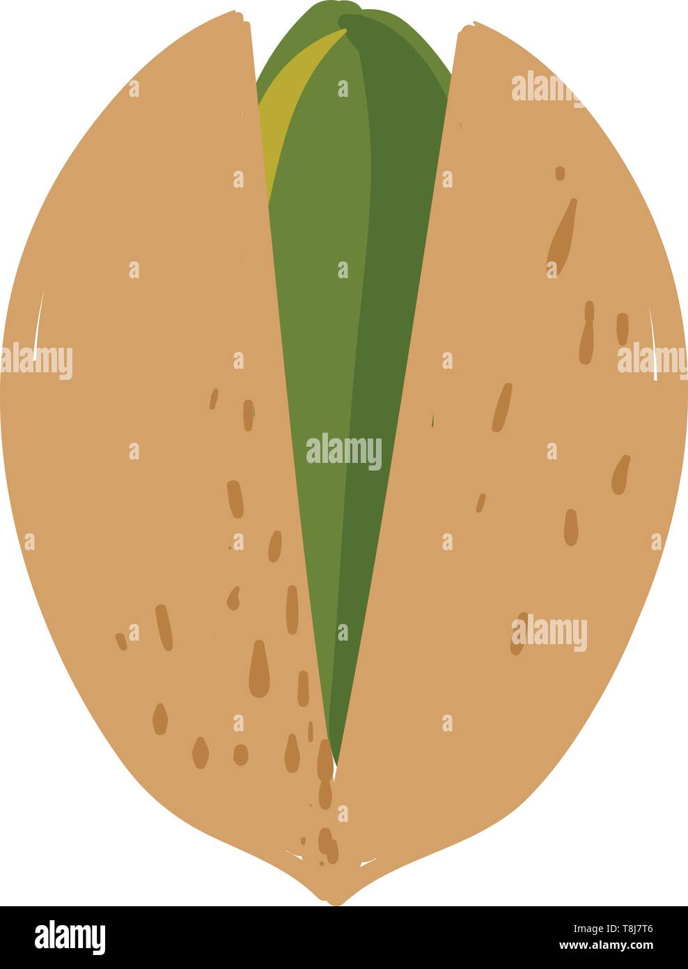 Split nut Stock Vector Images - Alamy