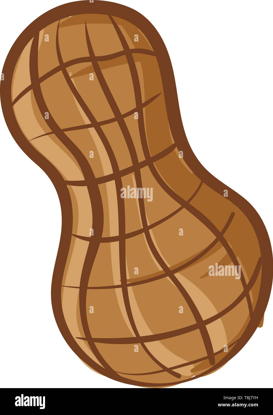 A brown peanut, goober, or monkey nut, the edible oval-shaped seed of a ...