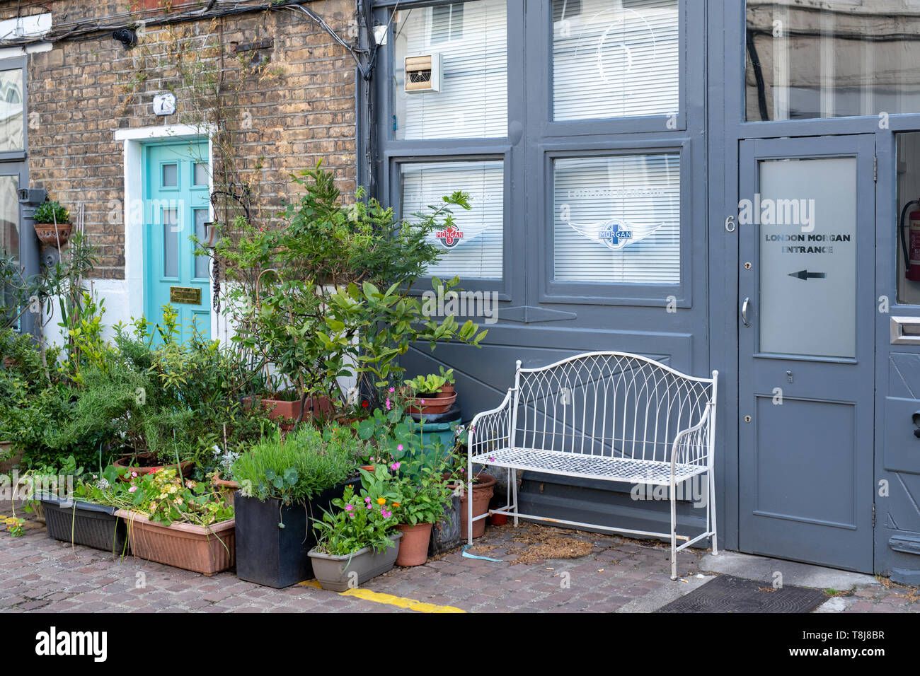 Small trees and shrubs in containers outside a house in Astwood Mews ...