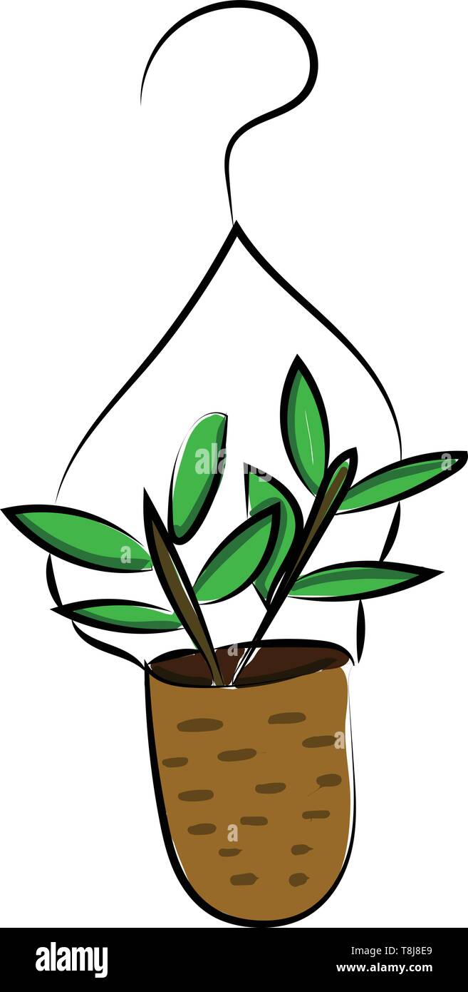 Roots hanging from tree Stock Vector Images - Alamy