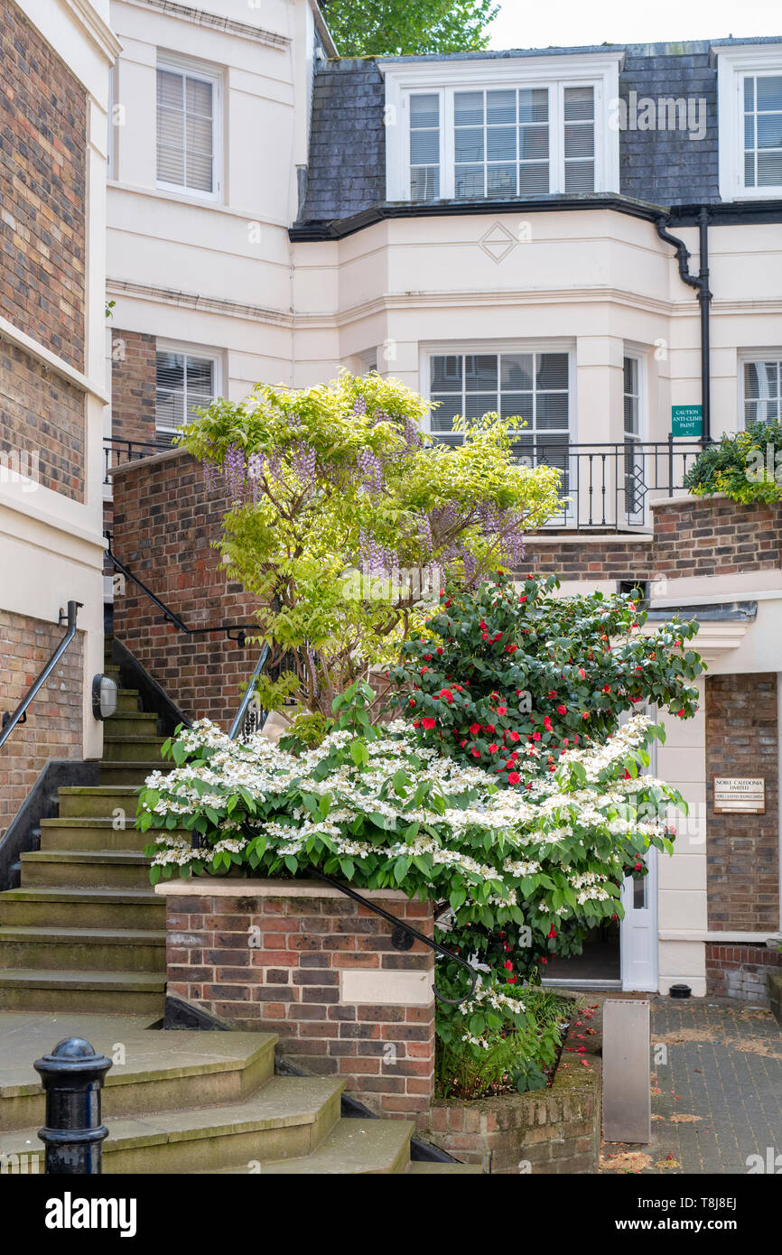 Grey street chester hi-res stock photography and images - Alamy