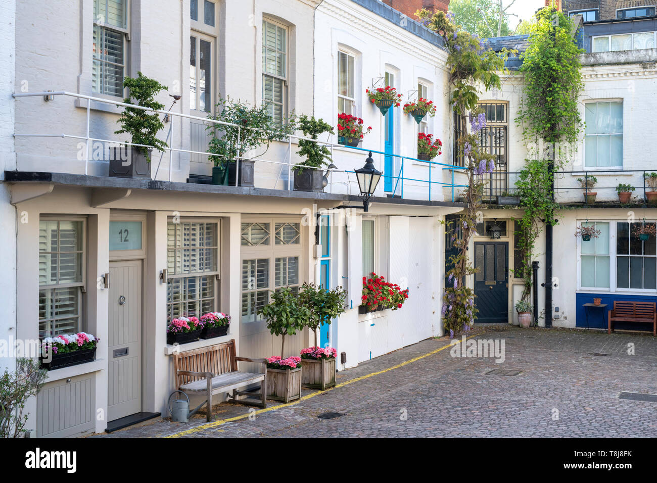 Houses with small trees and shrubs in containers in Courtfield Mews ...