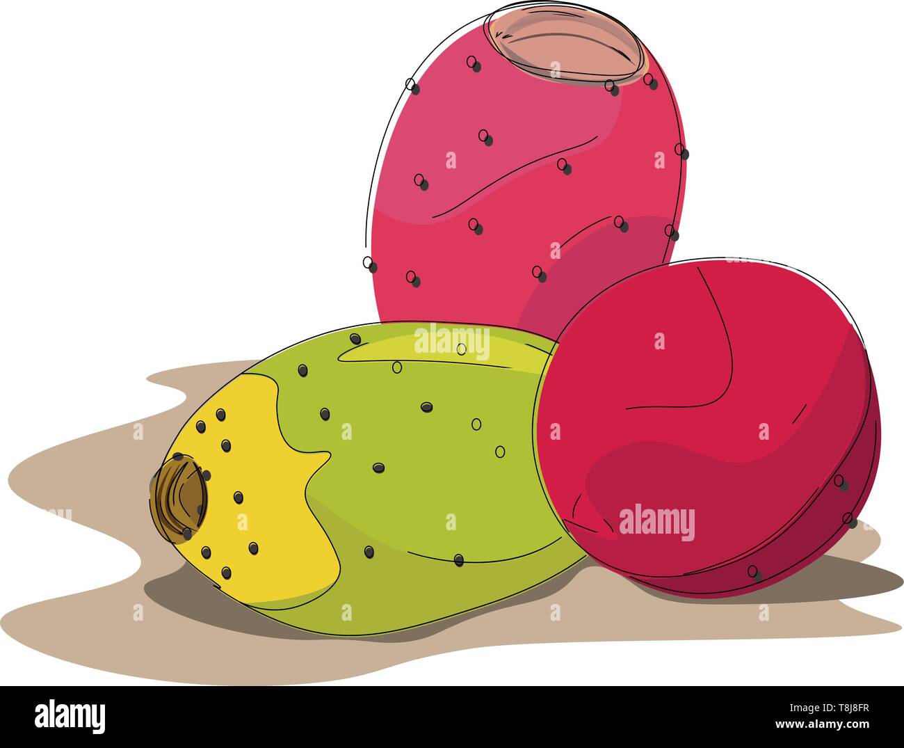 A kind of cactus plant's fruits that are oval-shaped in red and green ...