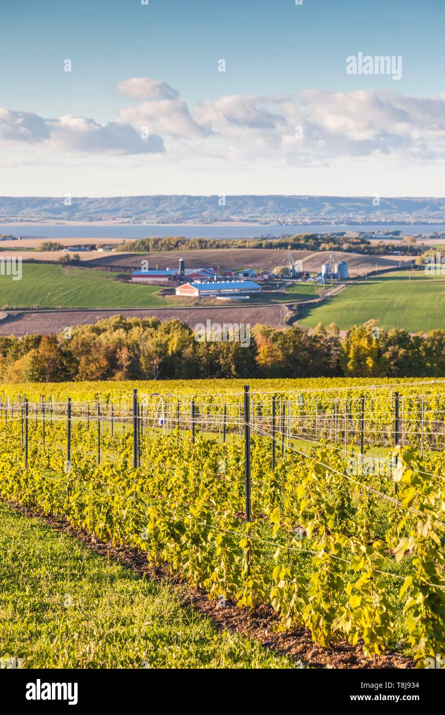 Wolfville nova scotia hi-res stock photography and images - Alamy