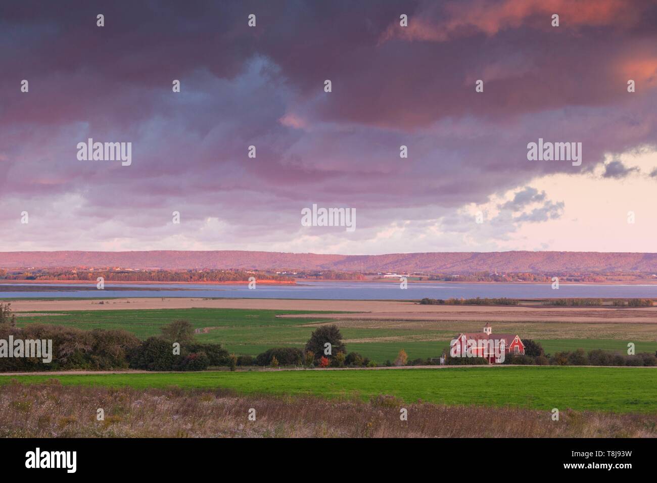 Canada, Nova Scotia, Annapolis Valley, Grand Pre, farm, dawn Stock ...