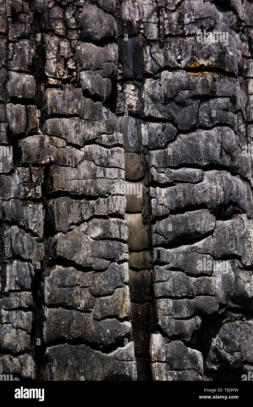 Burnt Wood Texture Stock Photos & Burnt Wood Texture Stock Images - Alamy