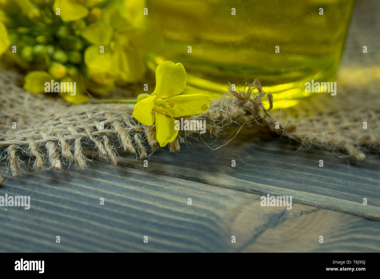 Yellow canola or rapeseed flowers with a small glass decanter of oil on ...