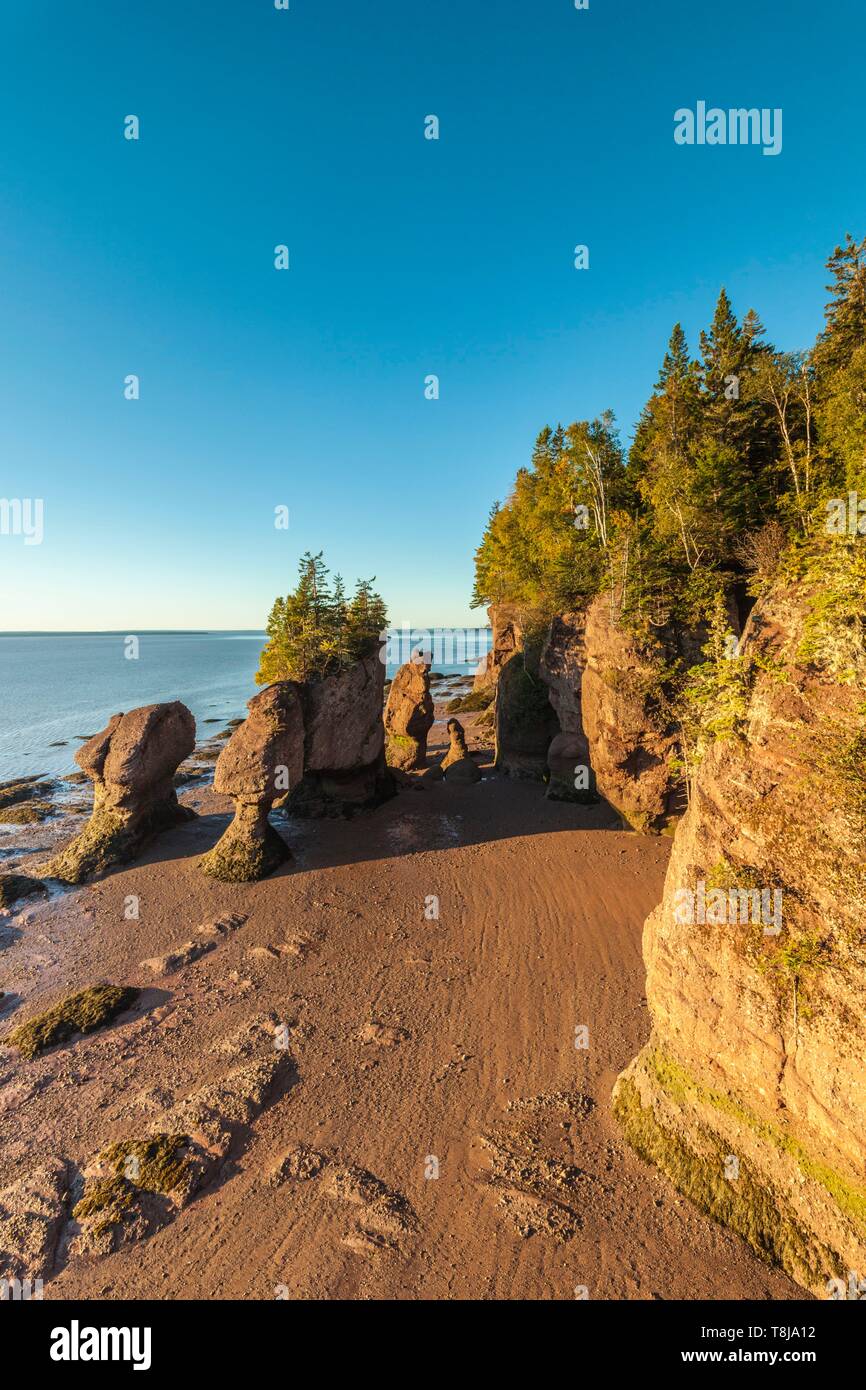 Canada, New Brunswick, Bay of Fundy, Hopewell Rocks, Flowerpot Rocks ...