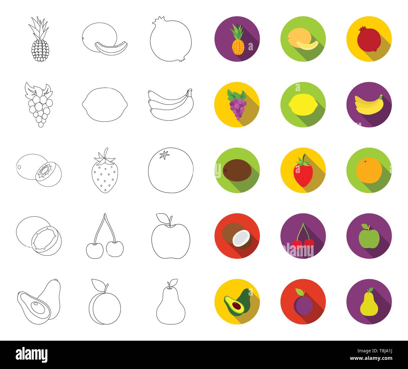 Different fruits outline,flat icons in set collection for design ...