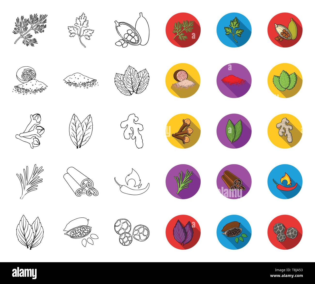 Herb and spices outline,flat icons in set collection for design ...