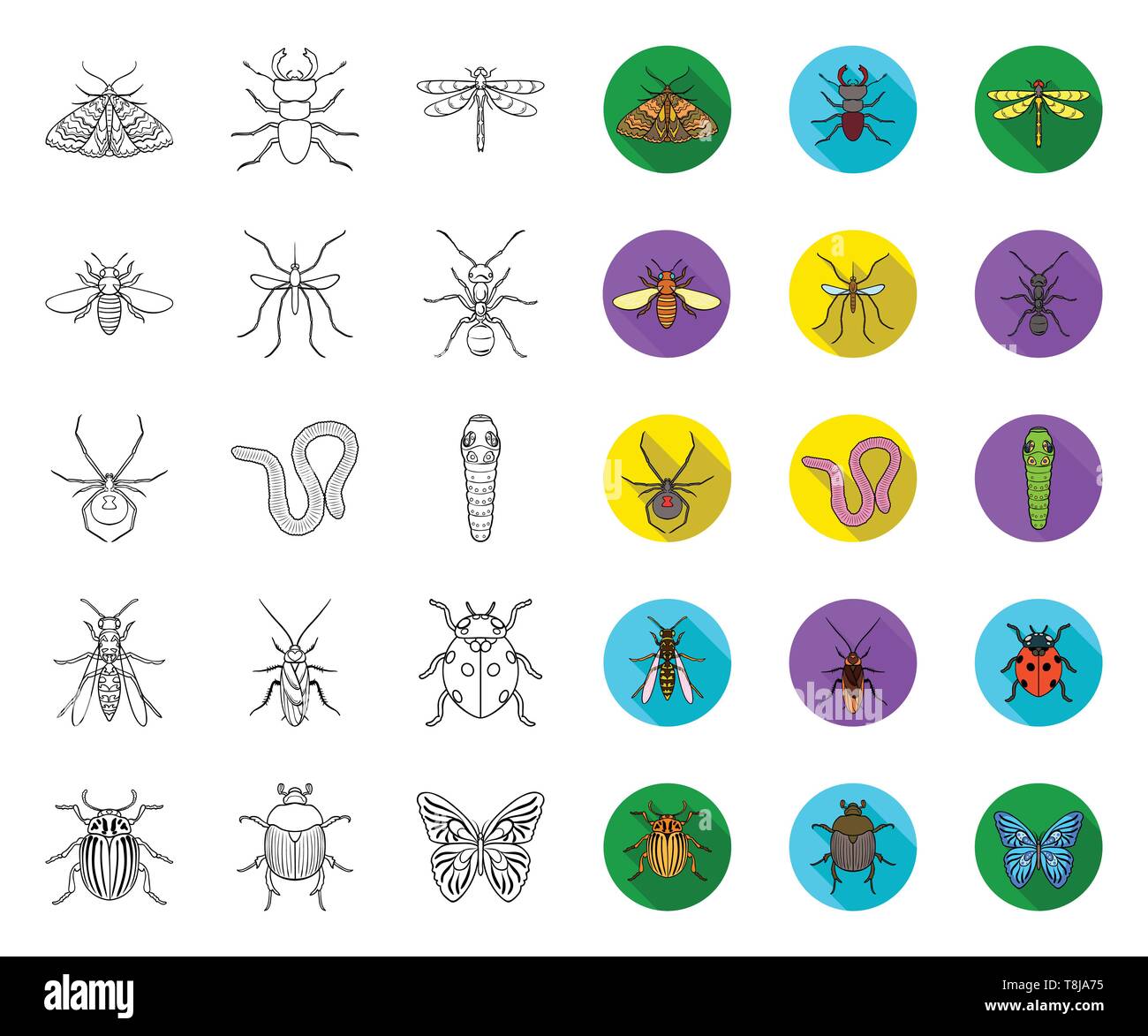 Different kinds of insects outline,flat icons in set collection for ...