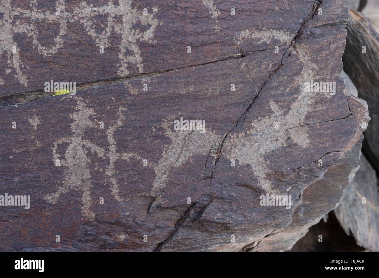 Mongolia, West Mongolia, Altai mountains, Valley of rock carvings ...