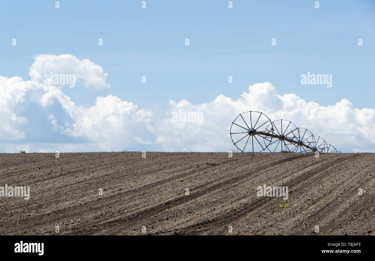 Field with irrigation system. Field irigation. - image Stock Photo - Alamy