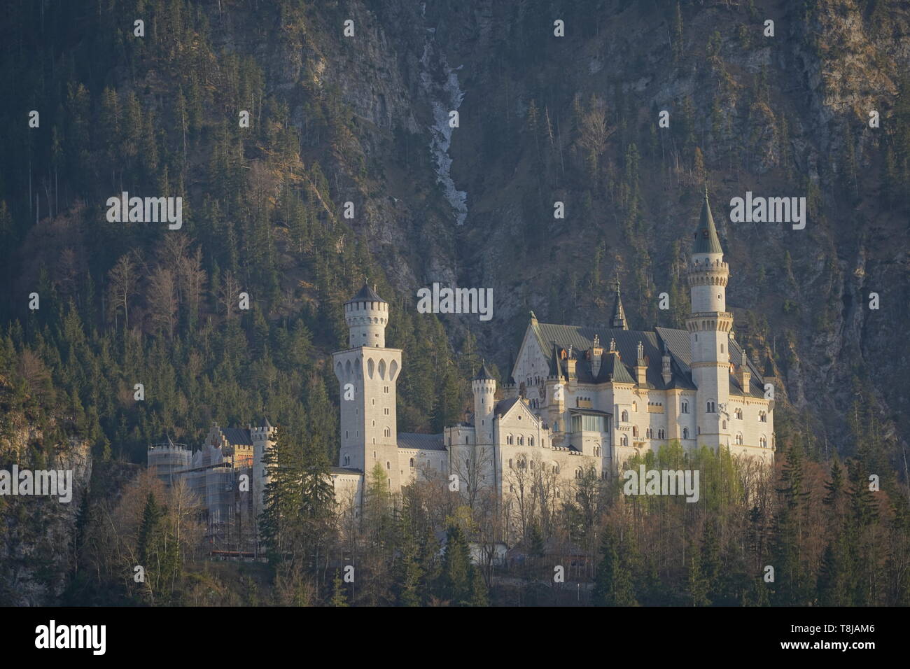 Neuschwanstein castle in spring Stock Photo - Alamy