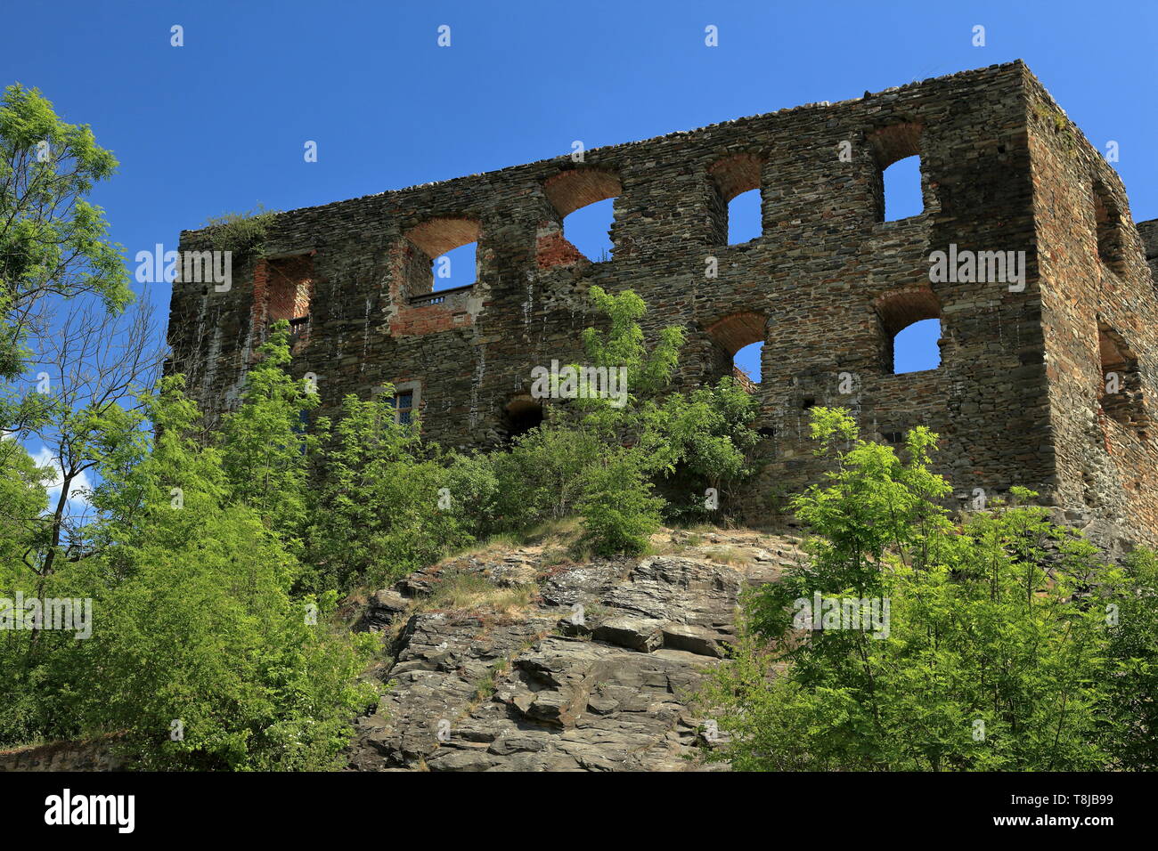 Ruins of the Okor Castle (in Czech Okoř),north-west of Prague, in the ...