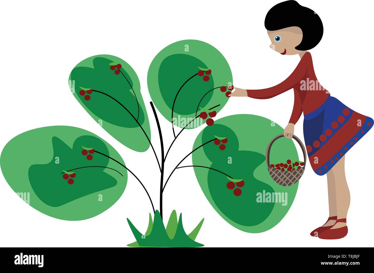 Collecting girl Stock Vector Images - Alamy