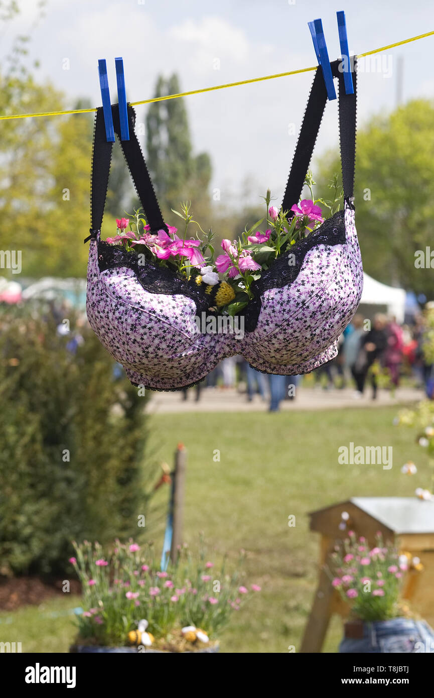 Bra filled with flowers hanging on a line hi-res stock photography and ...