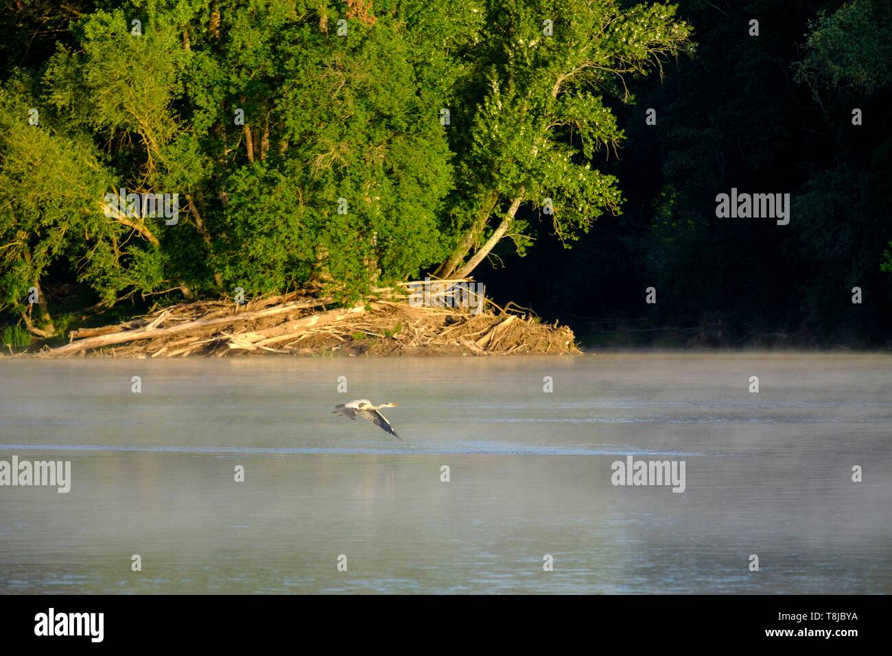 Chouze hi-res stock photography and images - Alamy