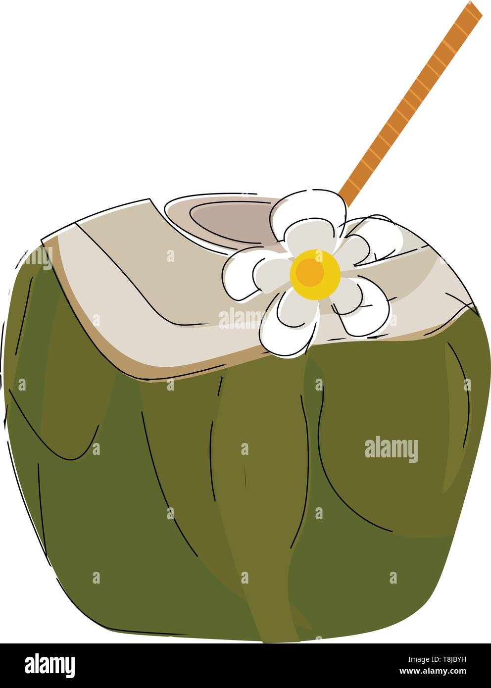 A green colored fresh coconut with the straw., vector, color drawing or ...