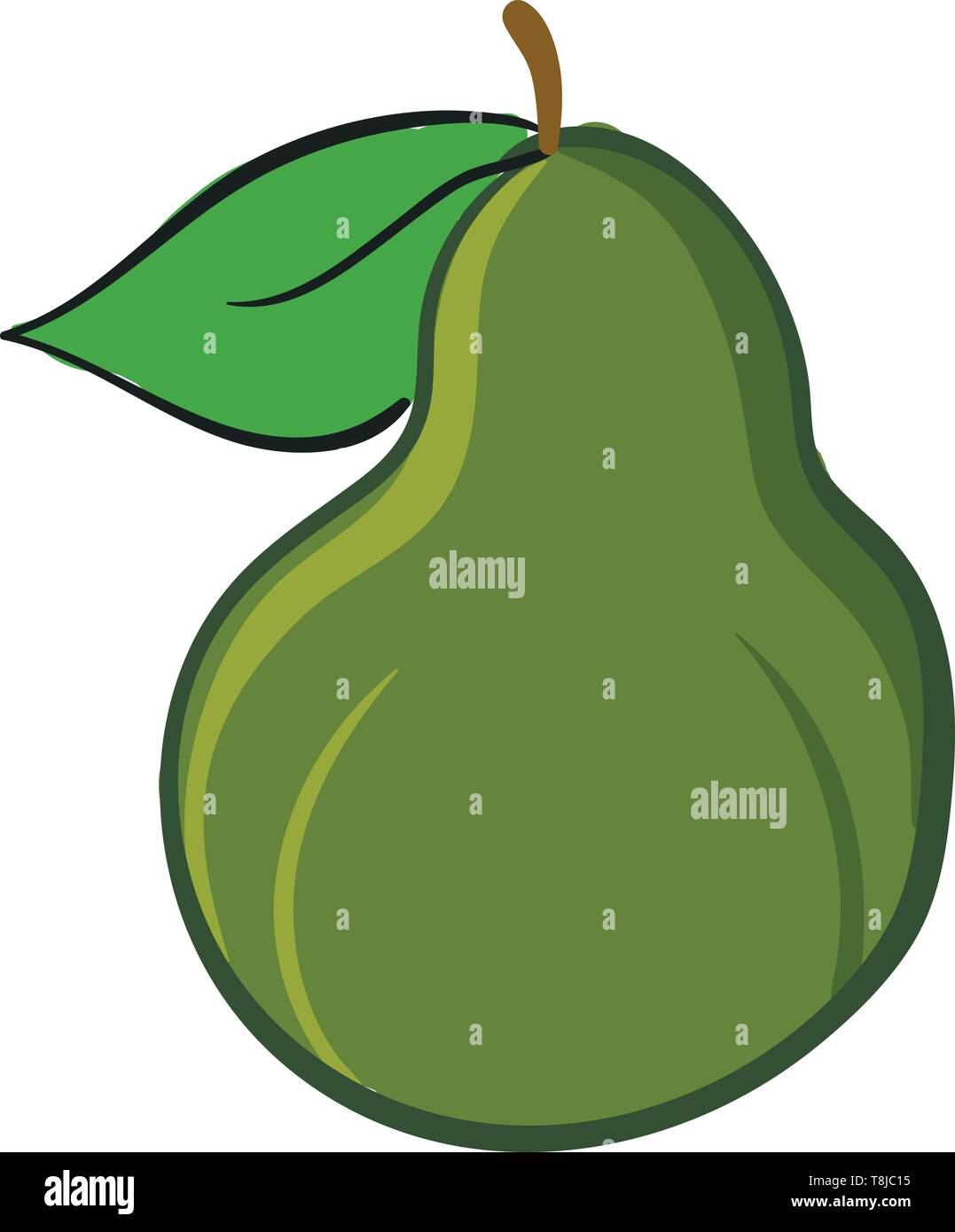 A green colored pear with a leaf and small stem., vector, color drawing ...
