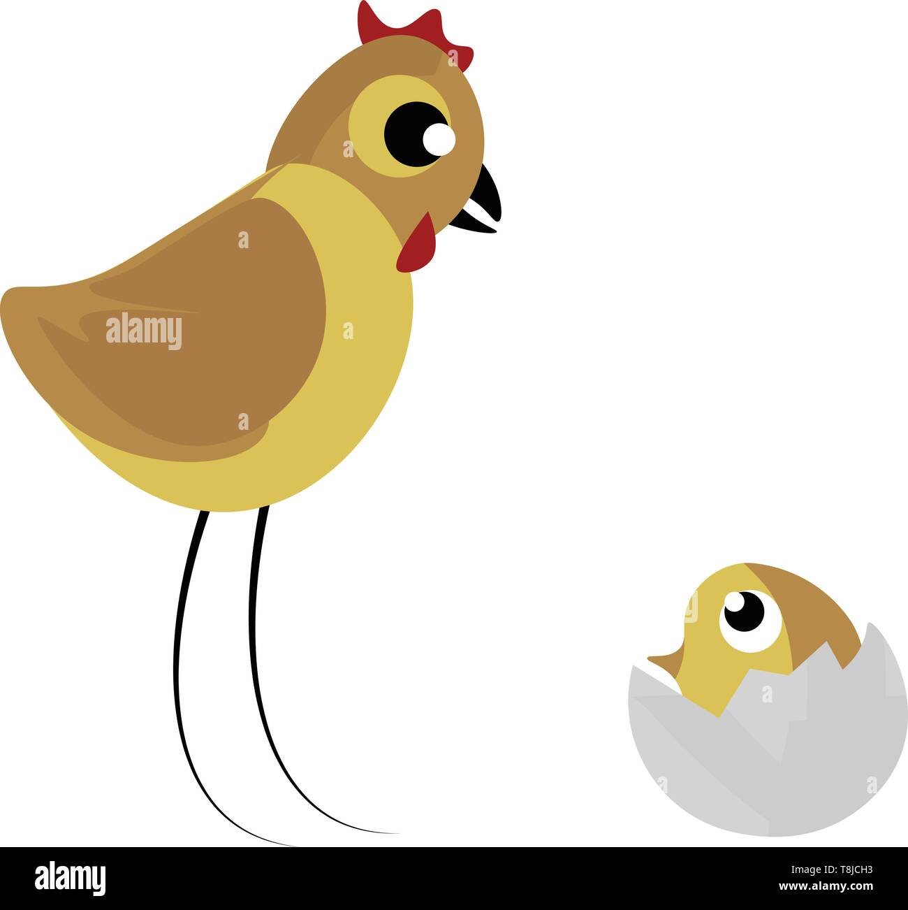 A coloured drawing of a hen looking at a chicken hatching from the egg ...