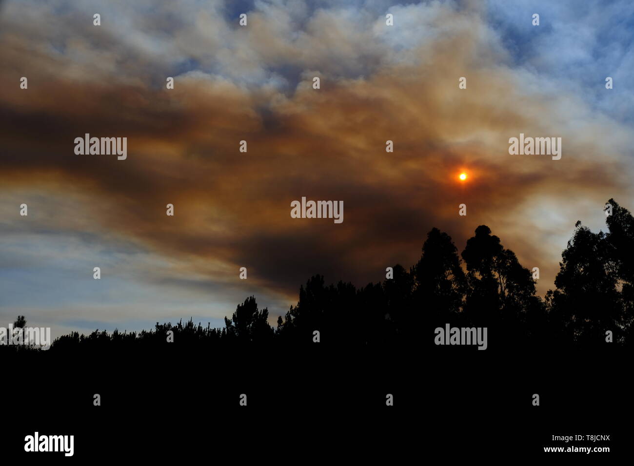 Portugal forest fires hi-res stock photography and images - Alamy