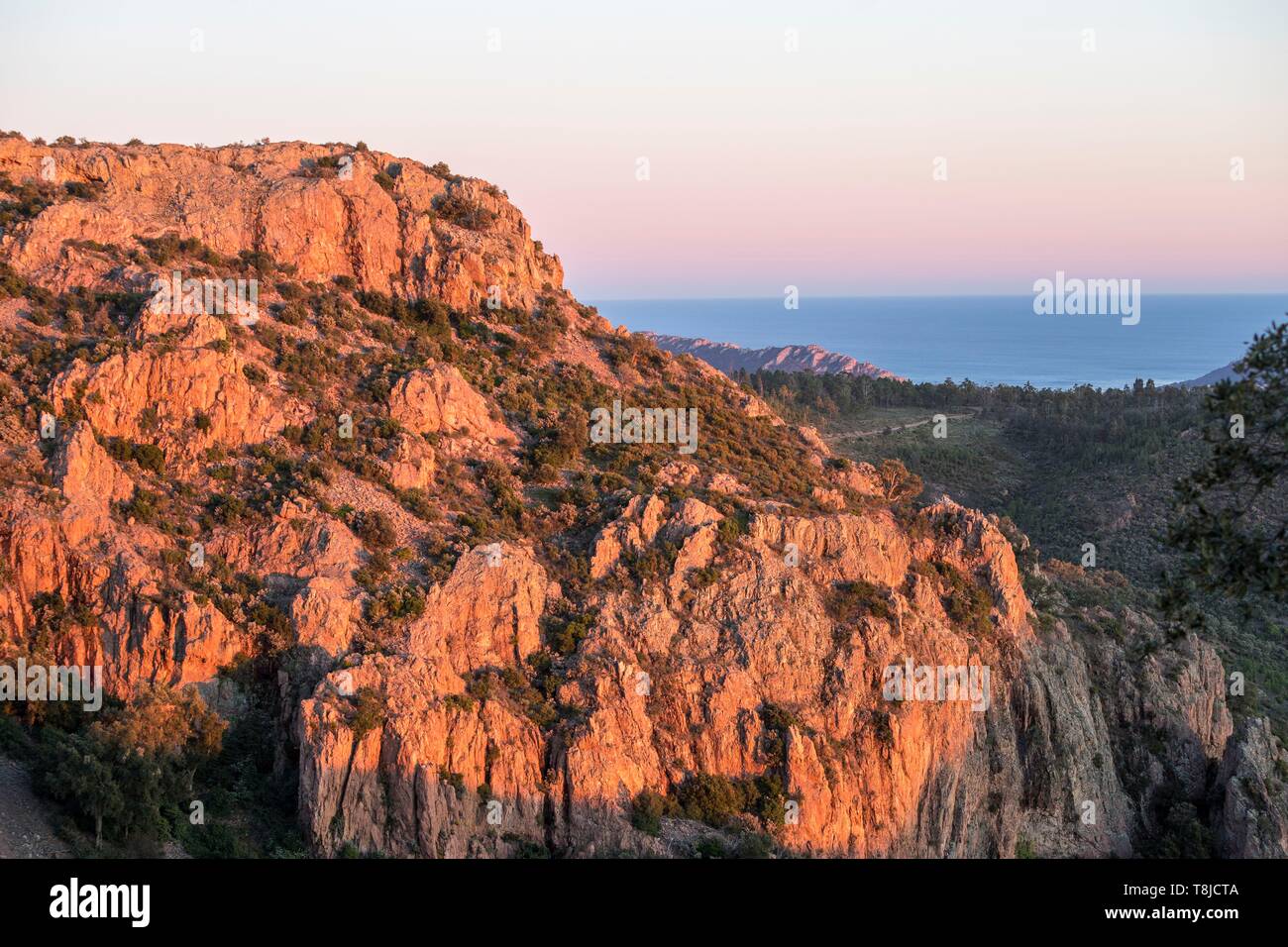 France, Var, Frejus, Esterel massif, red rhyolite rock cliffs of ...