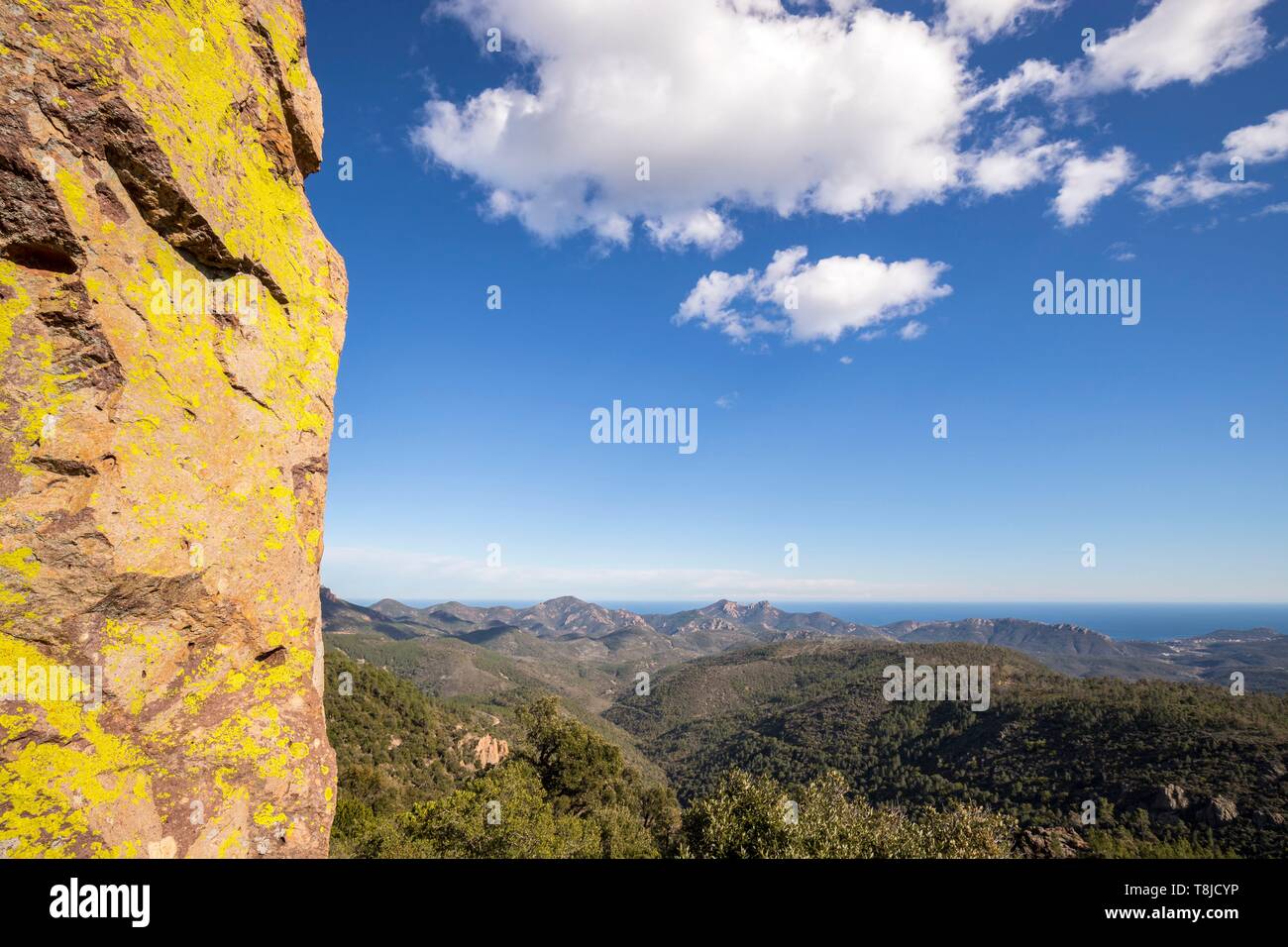 France, Var, Frejus, Esterel massif, red rhyolite rock of volcanic ...