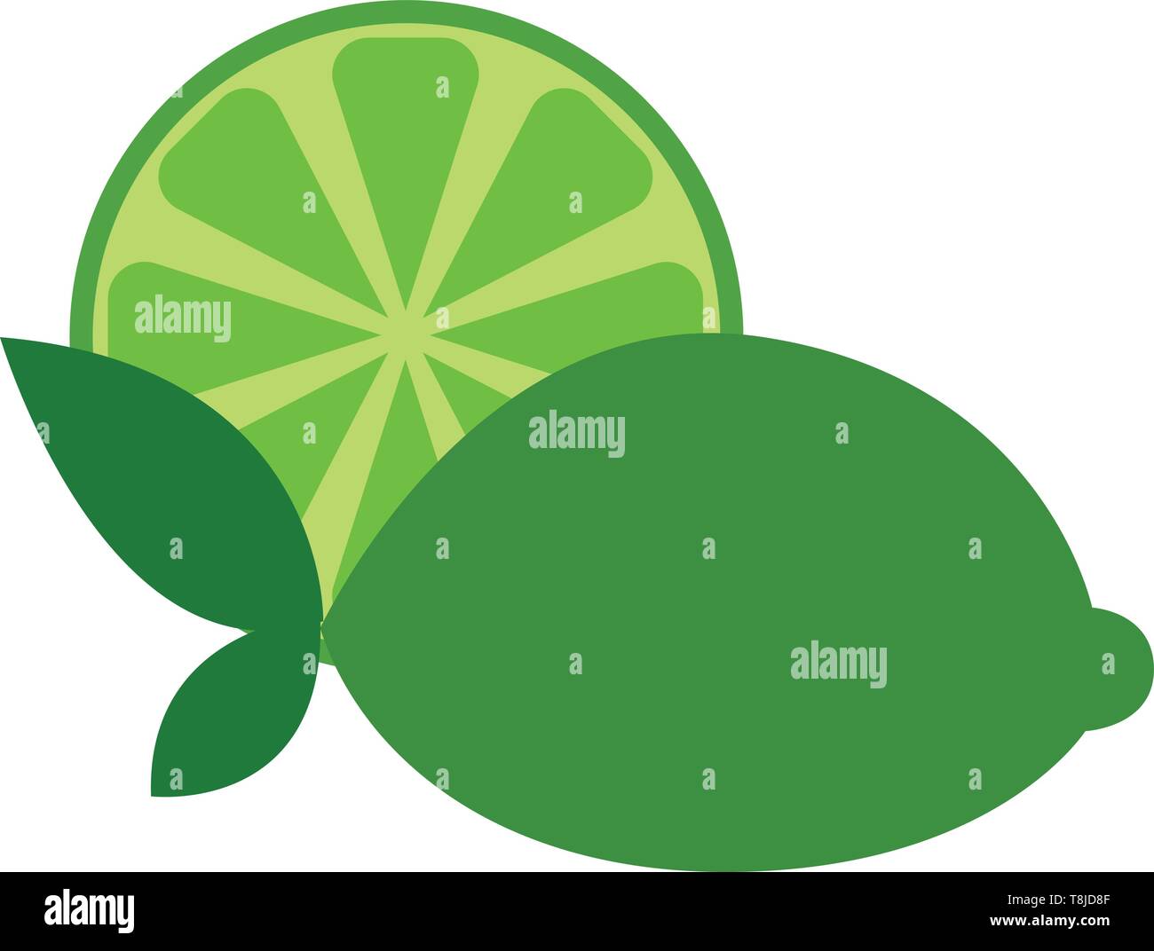 Beautiful drawing of Lime with leaves, vector, color drawing or ...