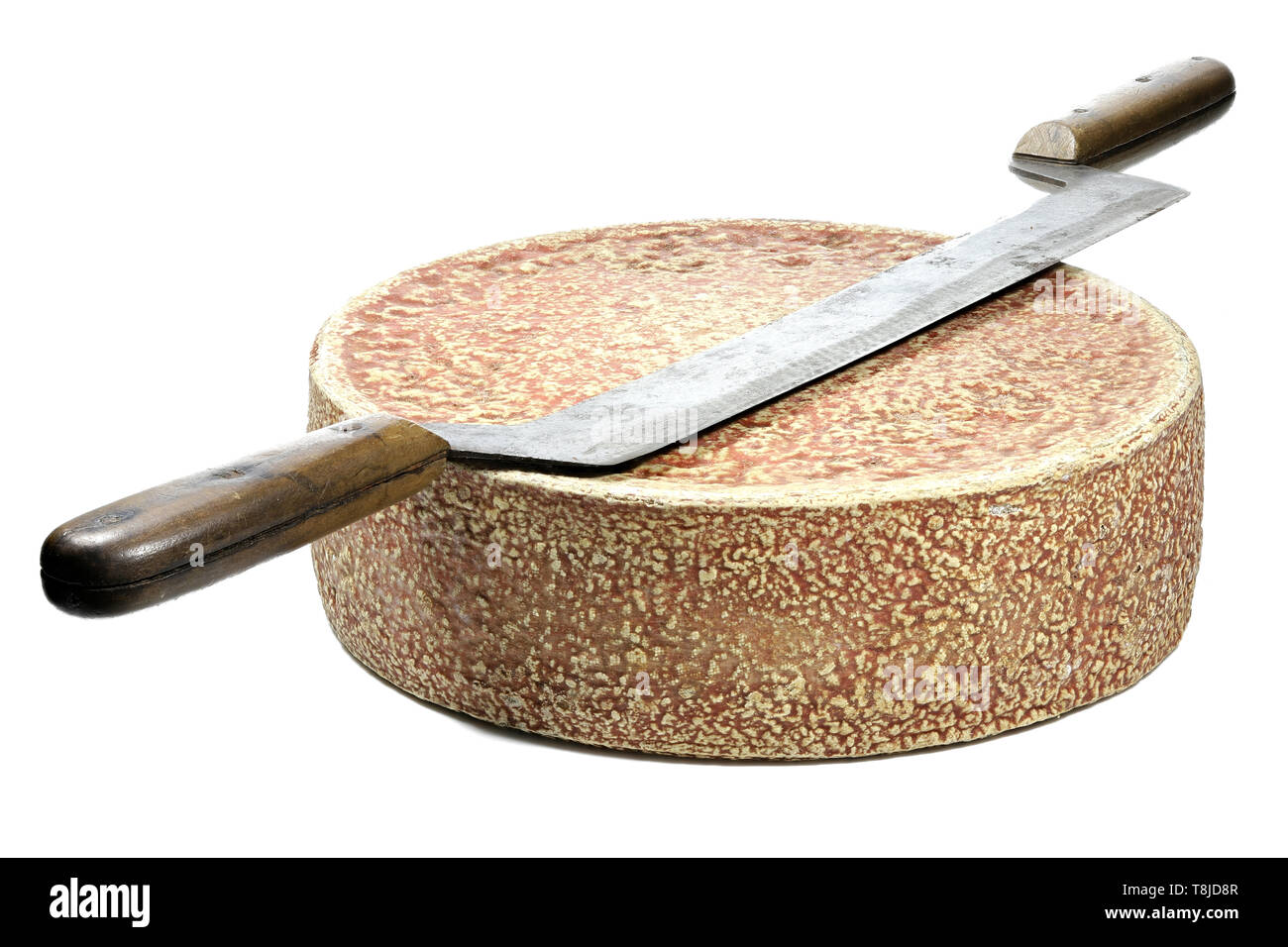 organic hay milk cheese wheel from German Allgäu region with vintage ...