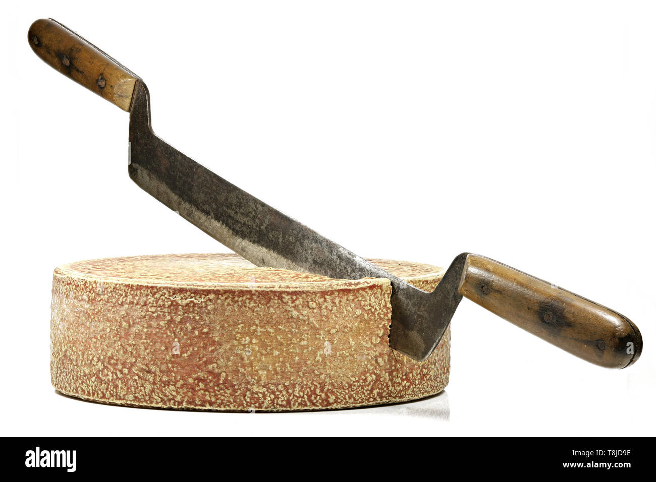 organic hay milk cheese wheel from German Allgäu region with vintage ...