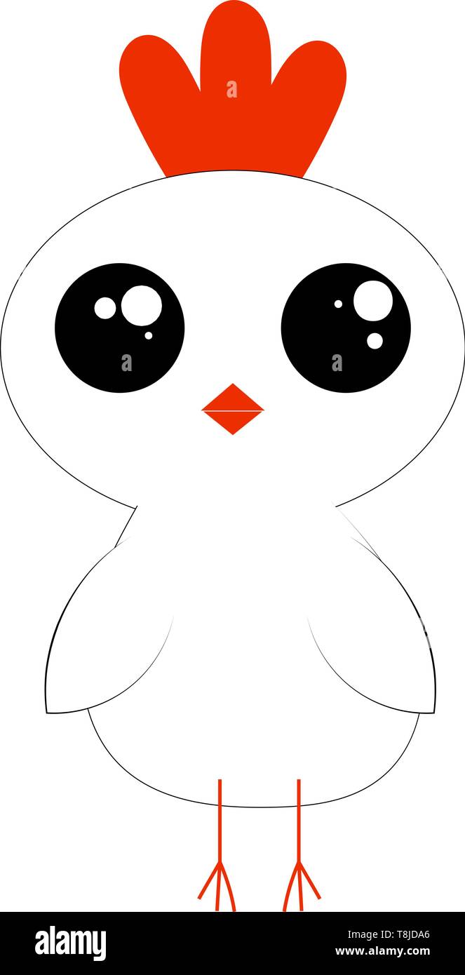 Pollito Dibujo Color