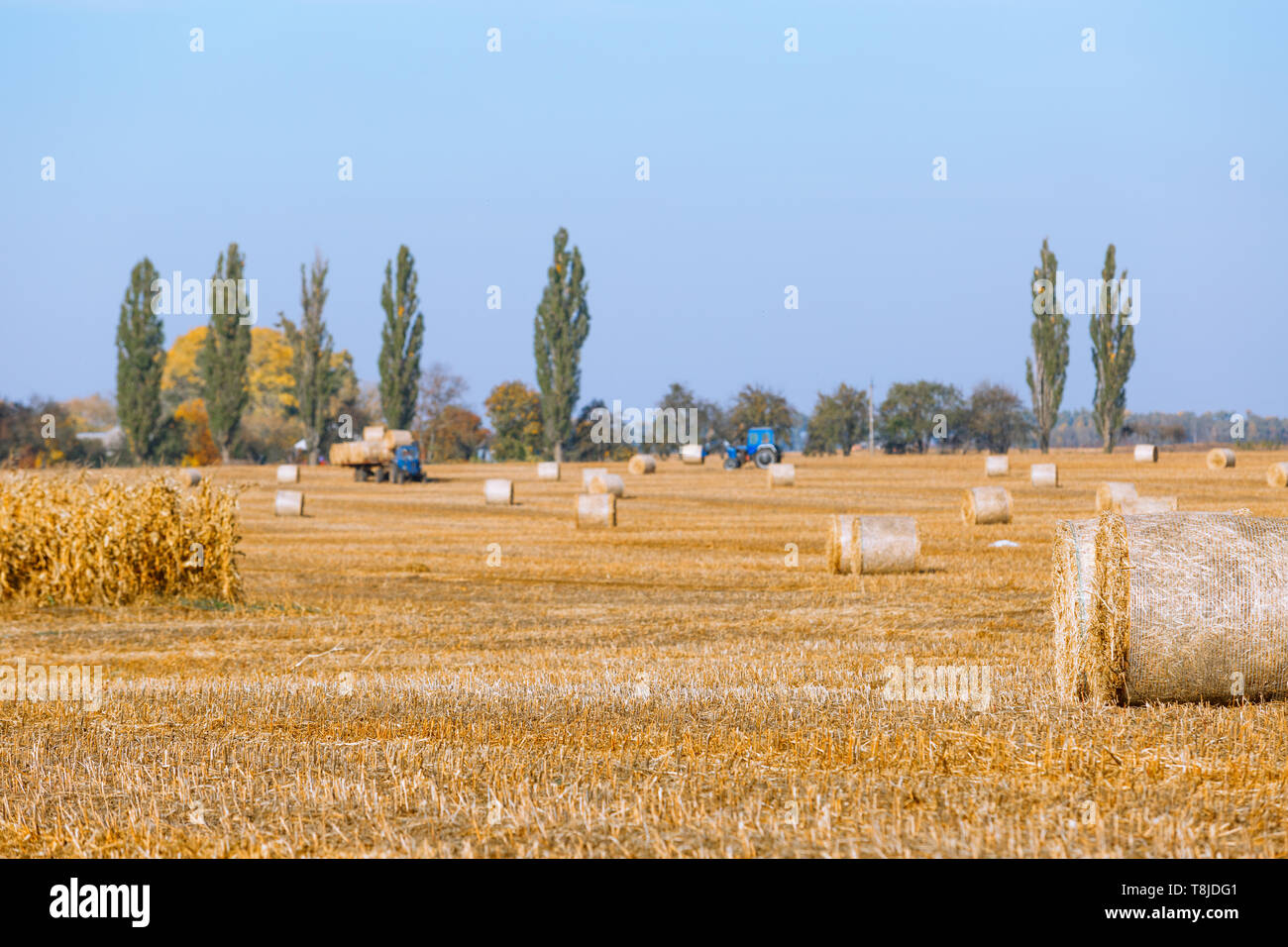 Hay bail harvesting in wonderful autumn farmers field landscape with ...