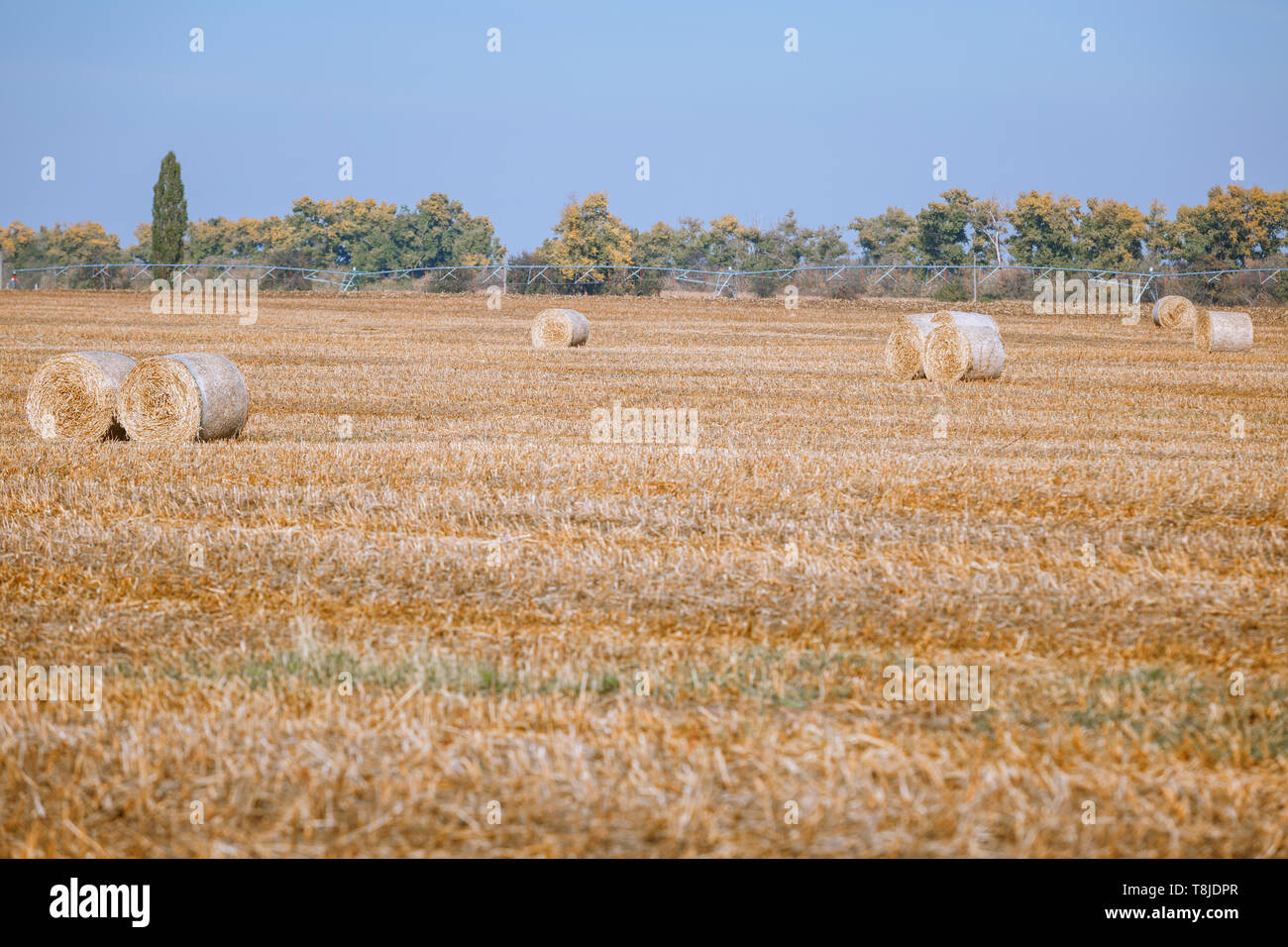 Hay bail harvesting in wonderful autumn farmers field landscape with ...