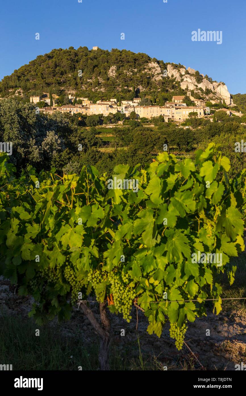 France, Vaucluse, Seguret, labeled the Most Beautiful Villages of ...