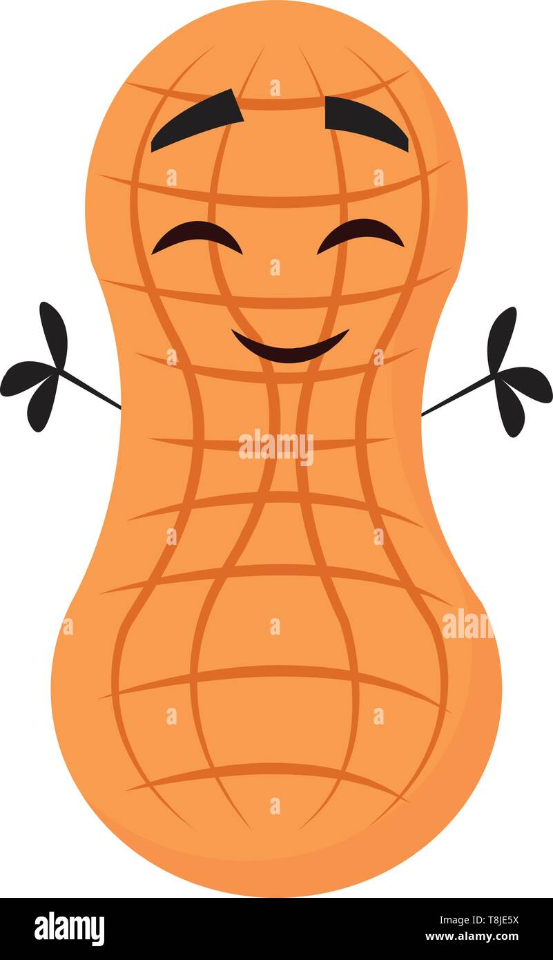 A curvy shaped groundnut with smiling face, vector, color drawing or ...